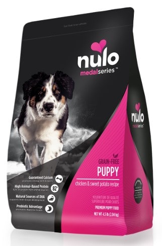 Branding for Pet Products: The Ultimate Guide - Aventive Studio